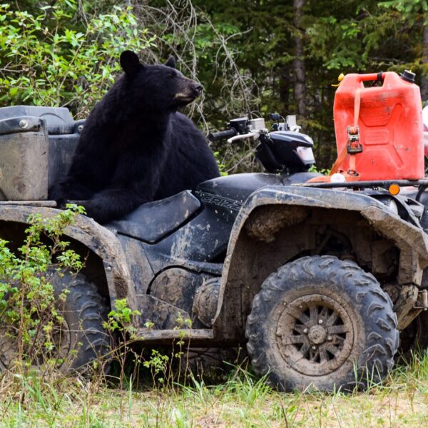 Québequad - Fédération Québécoise des Clubs Quads